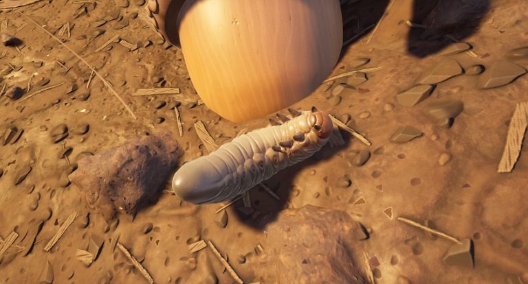 Grounded: Twinkling Shell Jackpot Location - Games Fuze