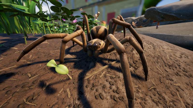 Grounded: Where to Find Wolf Spiders | Location Guide - Games Fuze