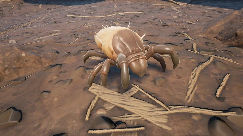 Grounded: Where to Find Ticks | Weapon Guide - Games Fuze