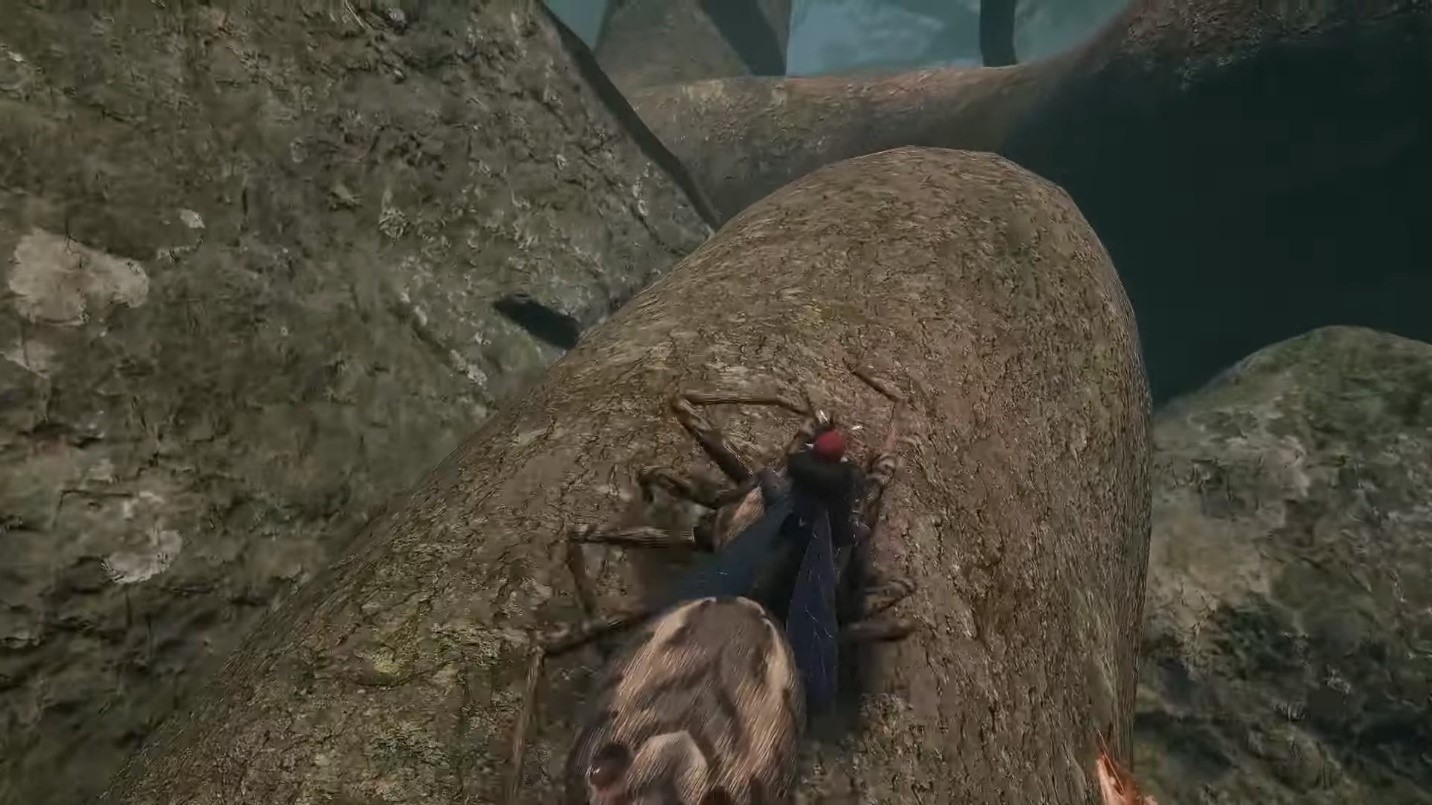 How to Tame Wolf Spider in Smalland: Survive the Wilds - Games Fuze