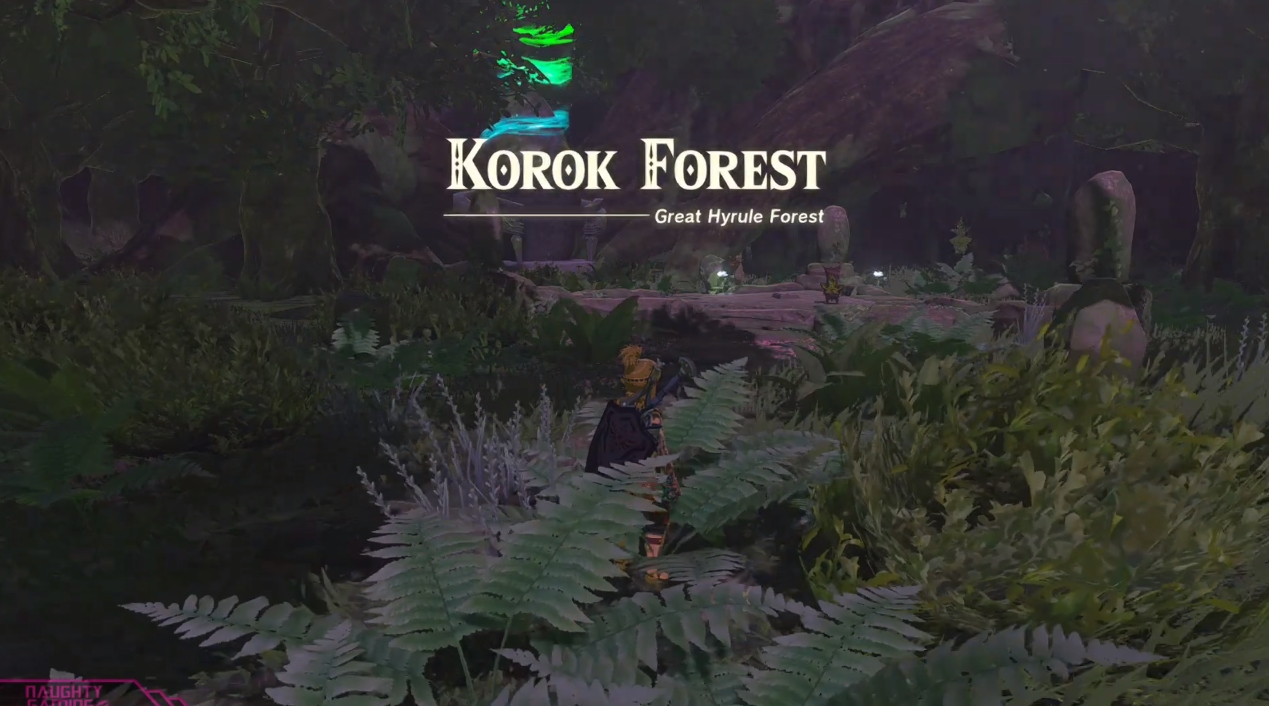 The Legend of Zelda: Tears of the Kingdom - How to Enter Korok Forest ...