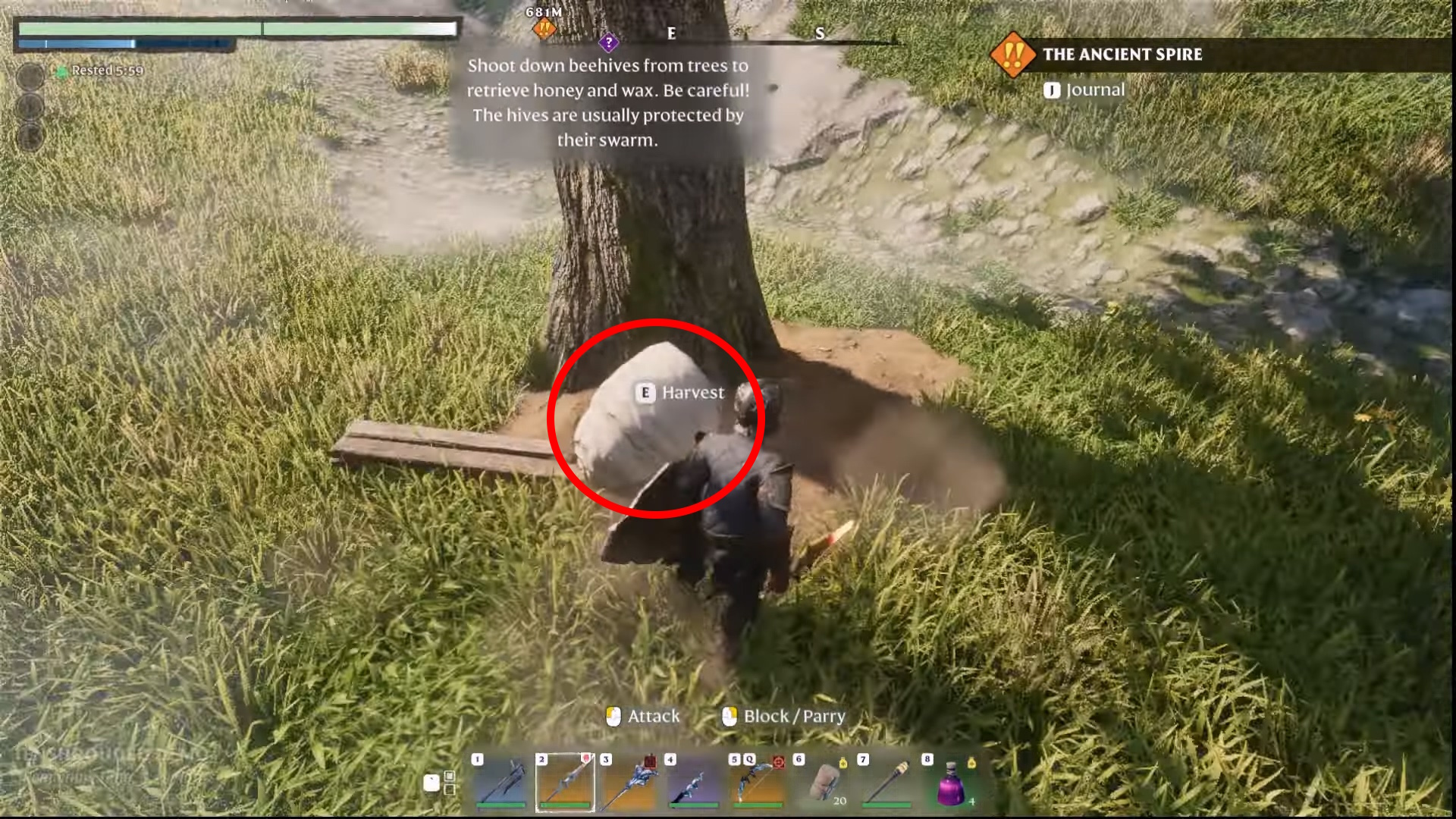 Enshrouded: Beehives and Beeswax Location - Games Fuze