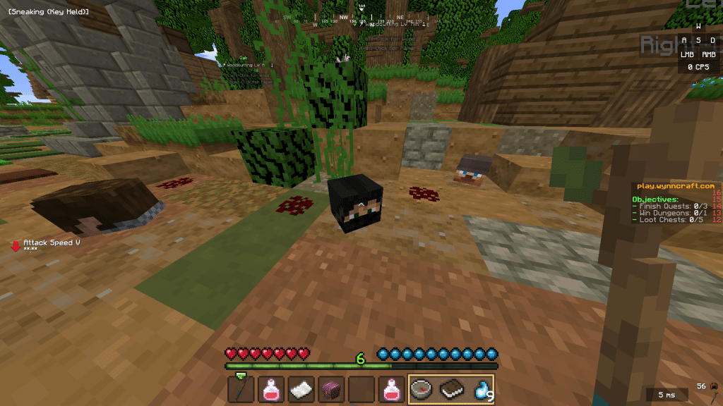 Minecraft Wynncraft: Beginner's Guide | Top Tips for New Players ...