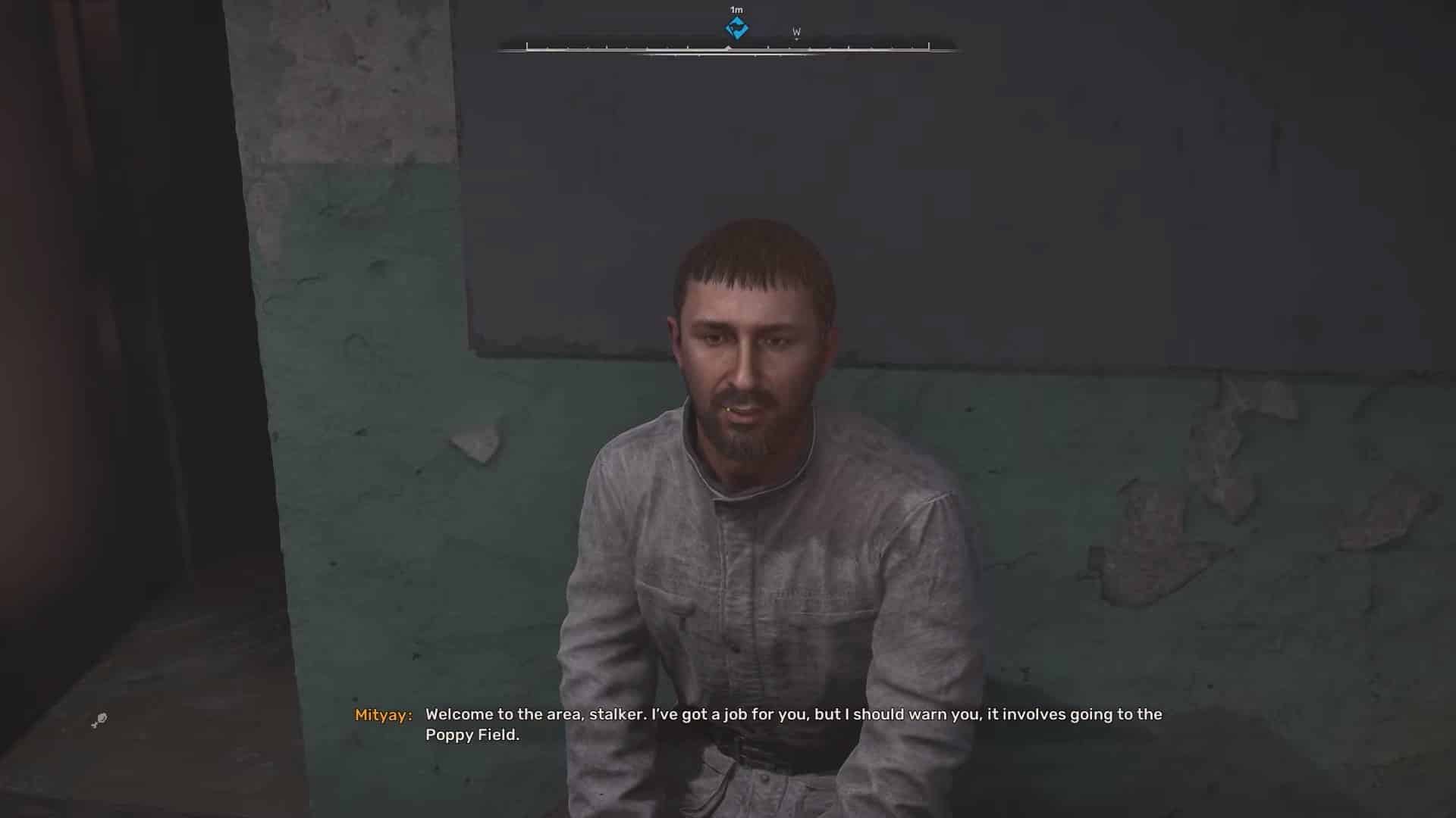 Stalker 2 - The Poppy Field Guide | Heart of Chornobyl - Games Fuze