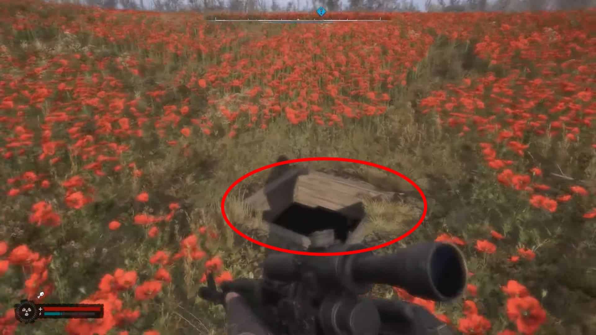 Stalker 2 - The Poppy Field Guide | Heart of Chornobyl - Games Fuze
