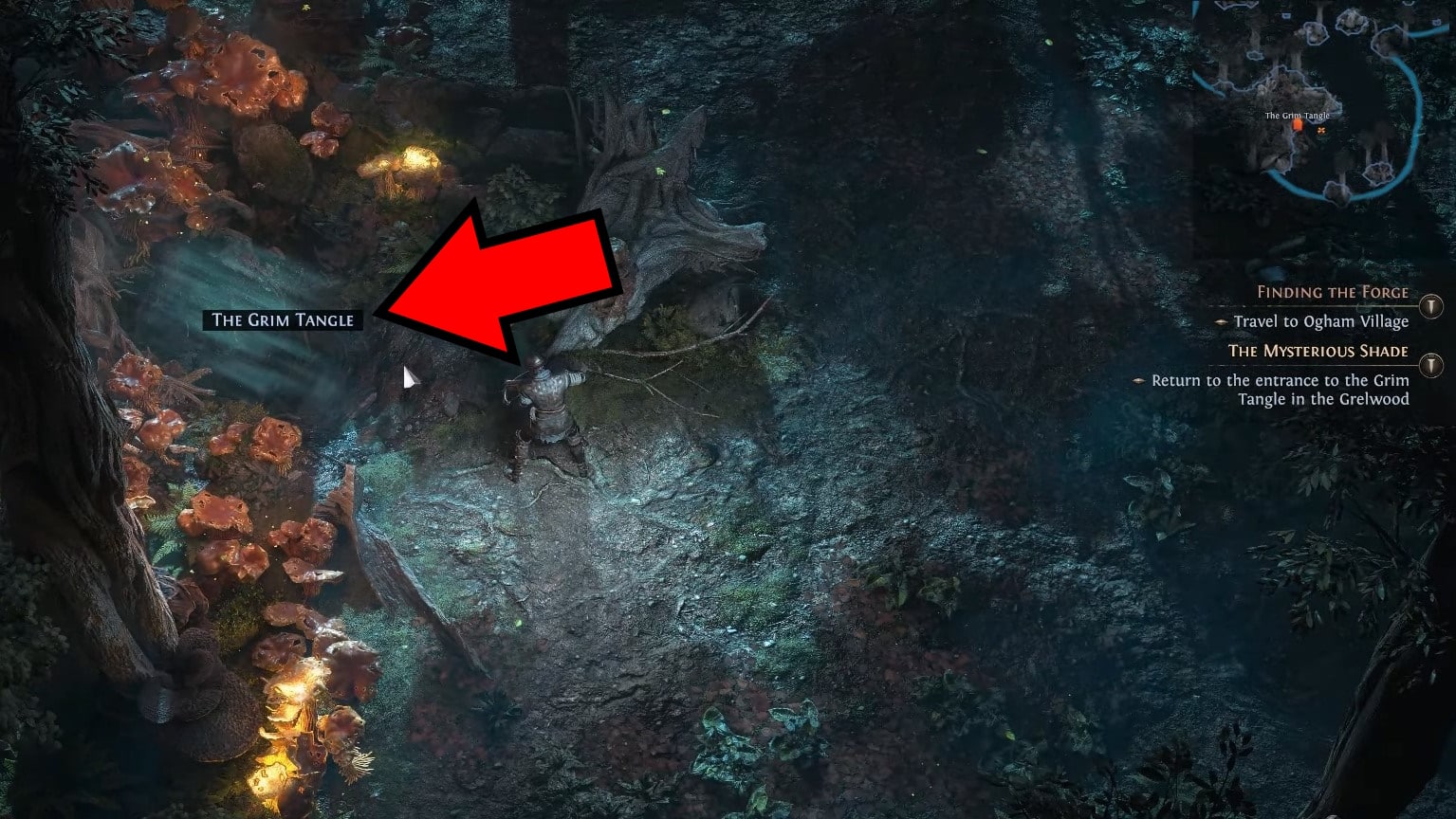 How to Easily Find the Grim Tangle Entrance in Path of Exile 2 - Games Fuze