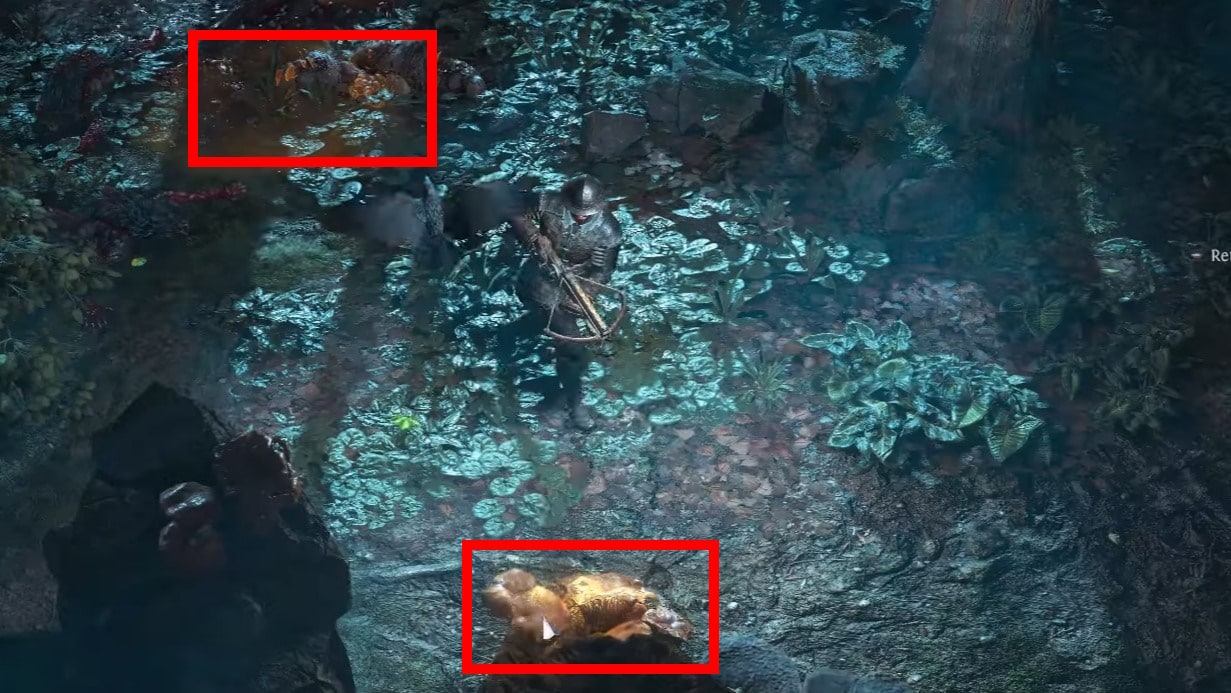 How to Easily Find the Grim Tangle Entrance in Path of Exile 2 - Games Fuze