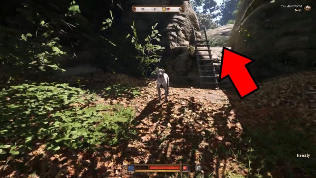 Where To Find Pavlena In Kingdom Come Deliverance 2 - Games Fuze