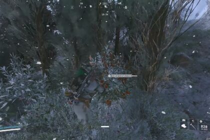 Where to Use Stella Montis Security Checkpoint Key in ARC Raiders